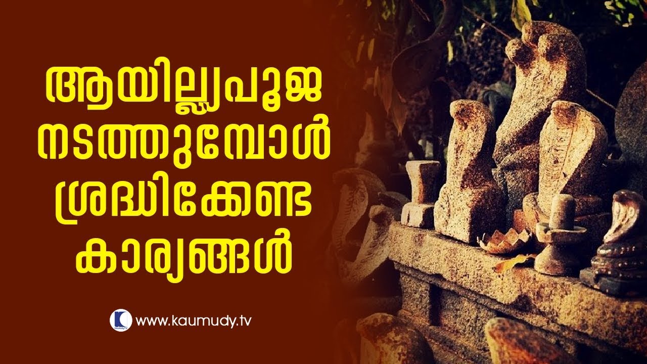 Things to consider while doing Ayilya Pooja | Pranavam | Ladies hour ...