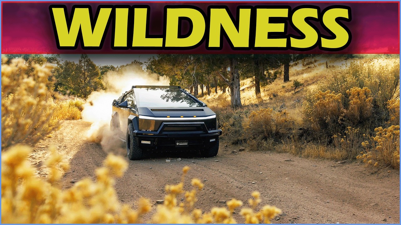 This Forest Path Was NEVER Meant for FSD, Until Now - YouTube