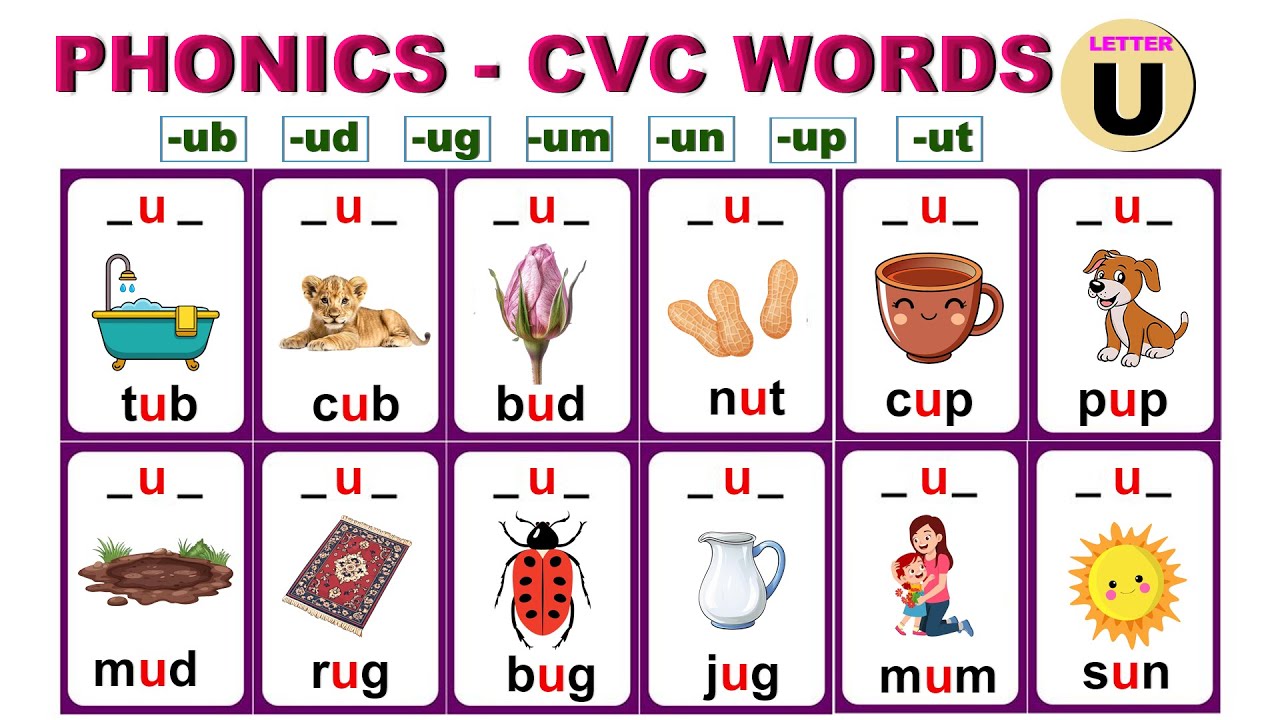 Three Letter Words |I Short Vowel U Word Families with pictures II ...