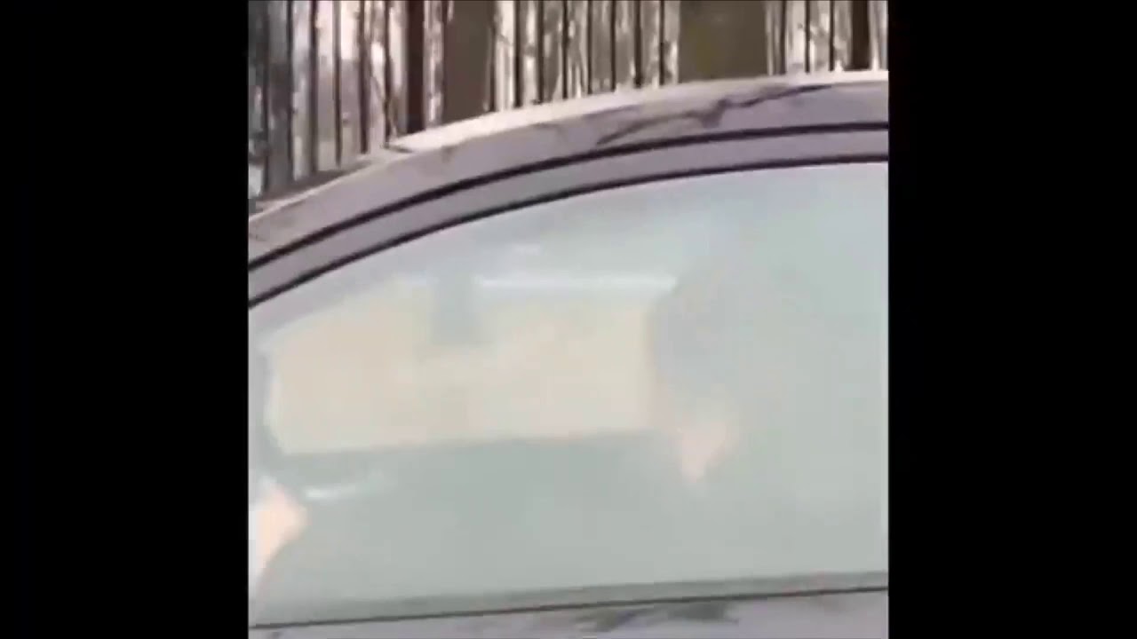 Guy Caught Getting Head in His Car Meme - YouTube