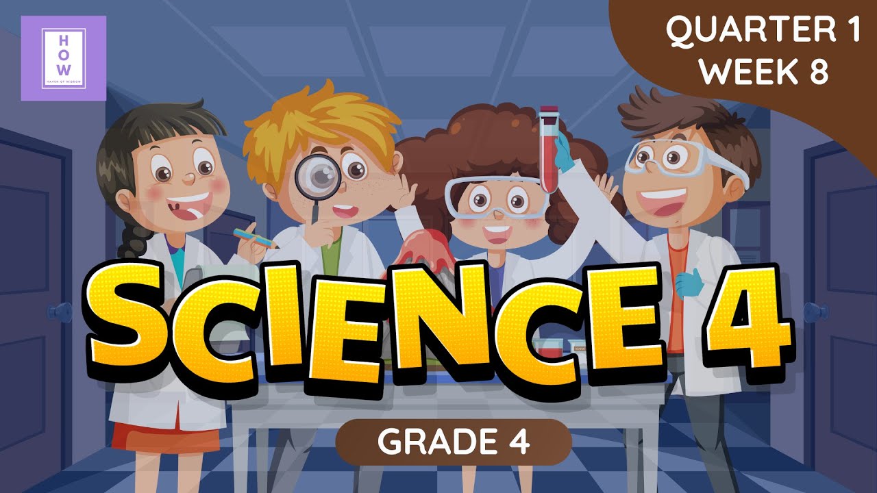 SCIENCE | Grade 4 | Quarter 1 Week 8 - YouTube