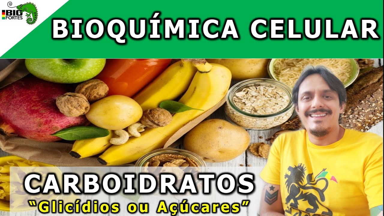 GLICÍDIOS "Carboidratos ou Açúcares" - YouTube