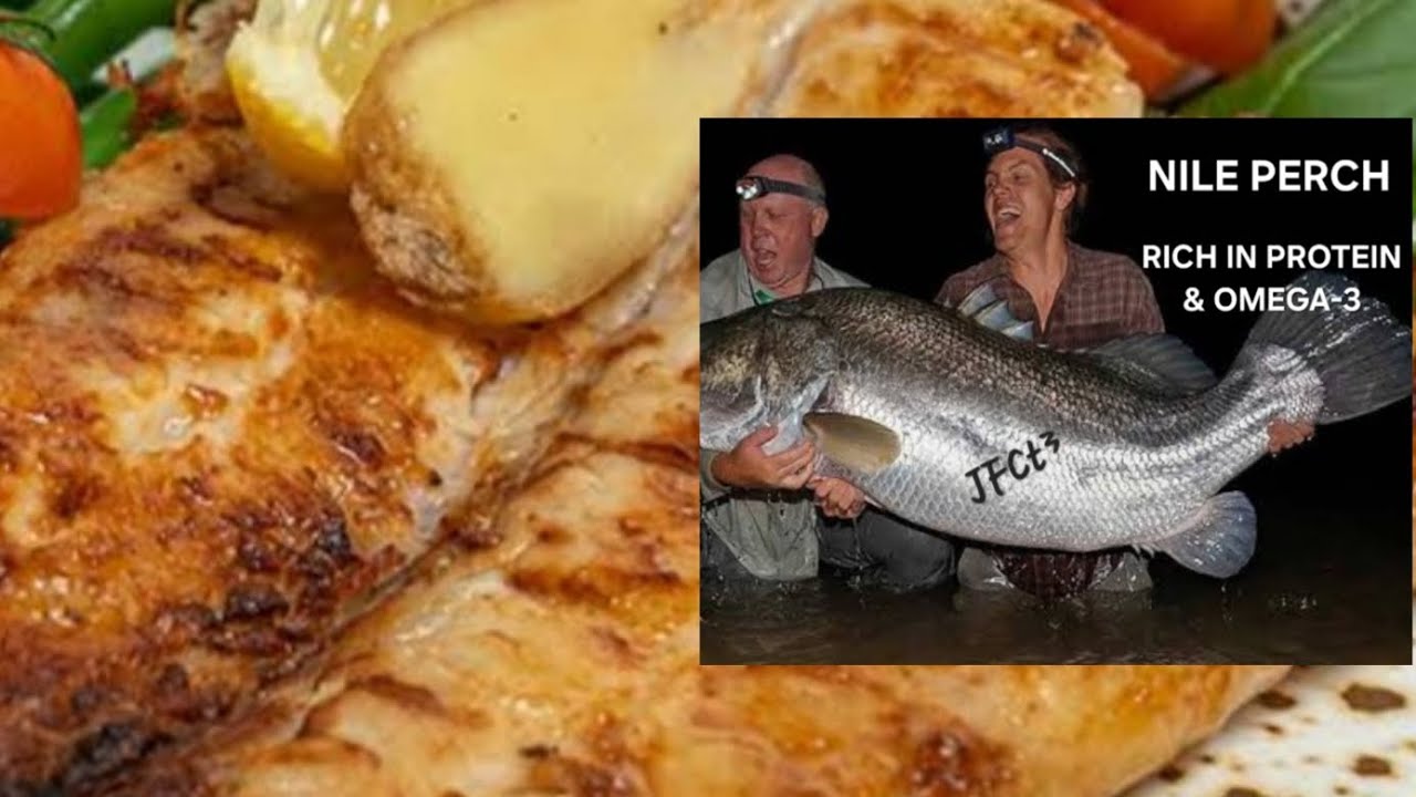HOW TO COOK NILE PERCH FILET #fish #nile #perch #grill - YouTube