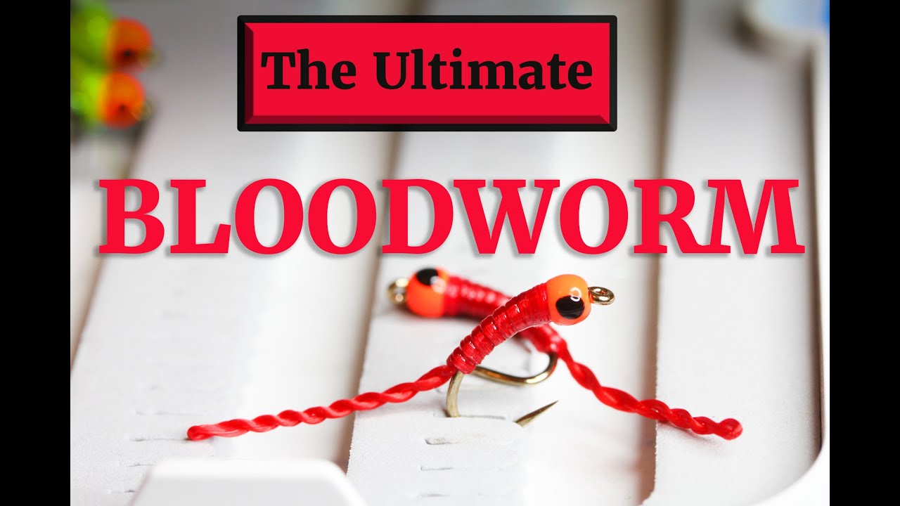 Fly Tying The Ultimate Bloodworm - YouTube