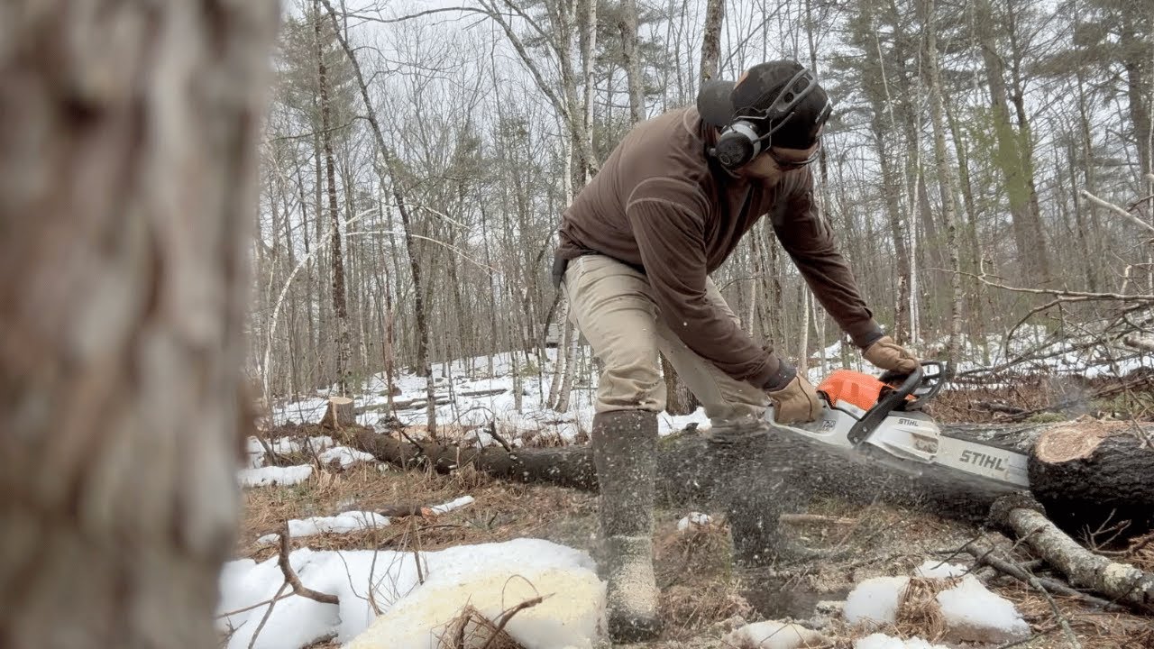Poplar Pocolypse Part Two (Processing the Fallen Poplar Trees from our ...
