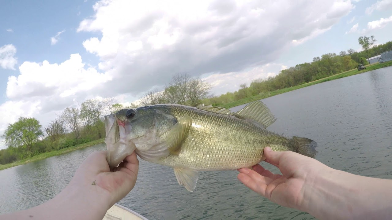 Summer Bass Fishing!! - YouTube