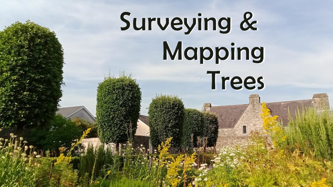 Surveying and Mapping Trees - YouTube