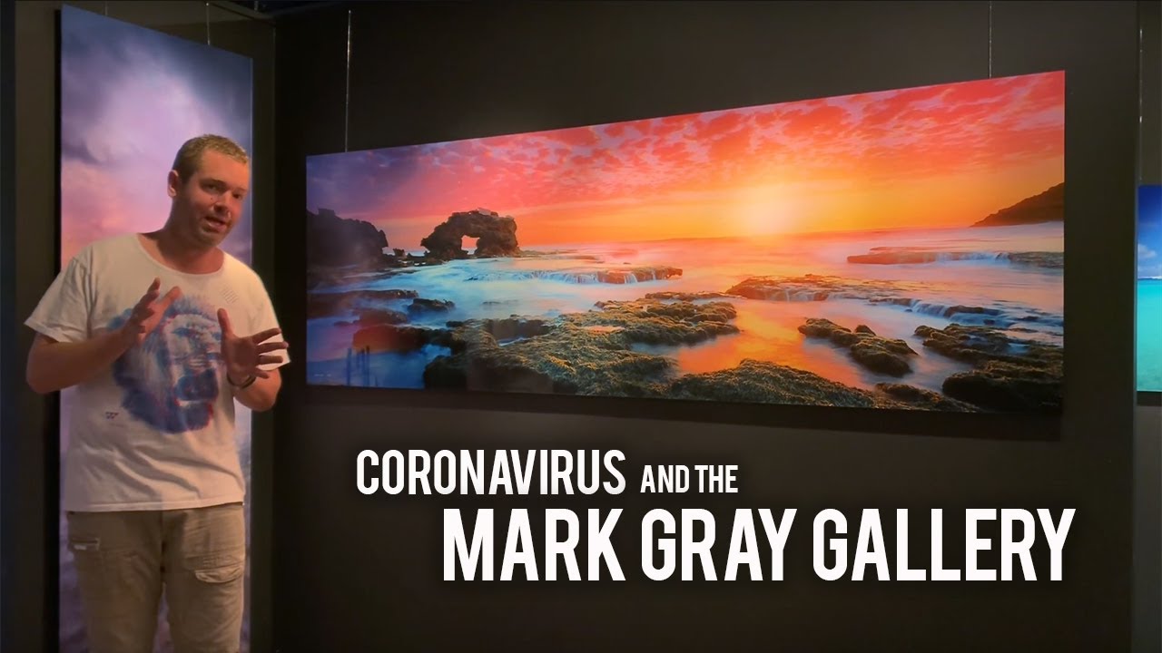 CORONAVIRUS and the MARK GRAY GALLERY - YouTube