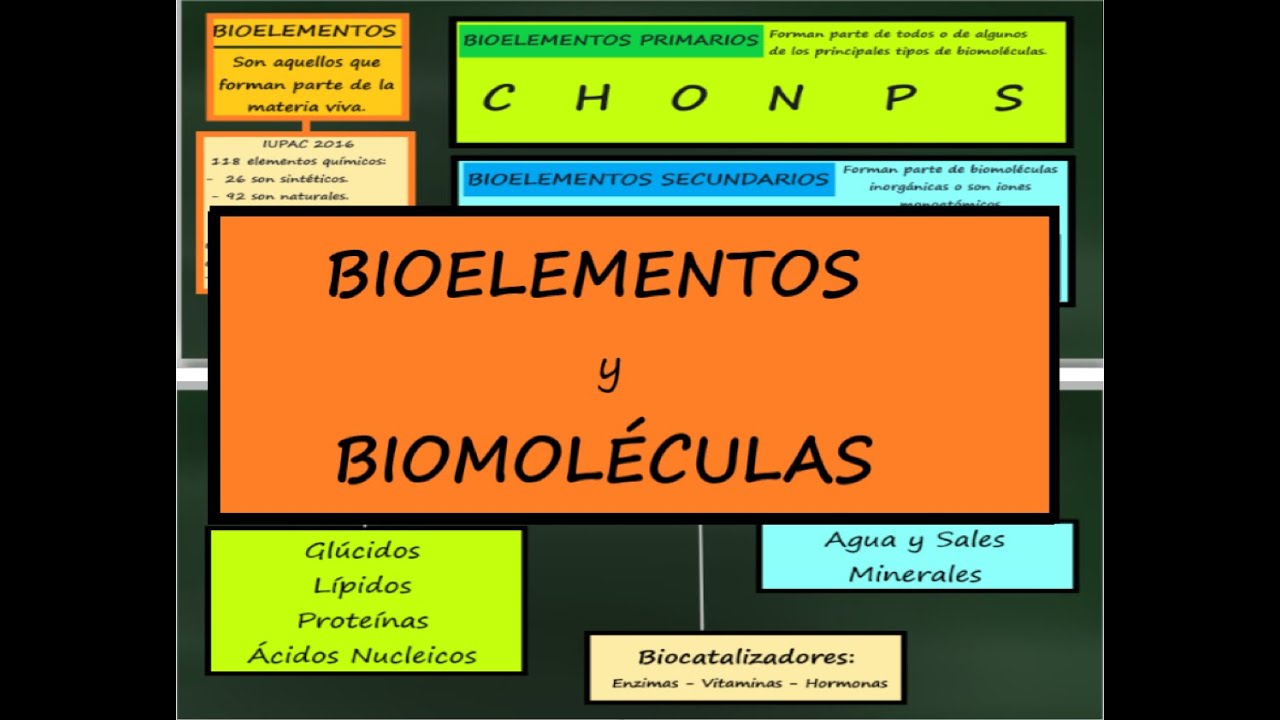 Bioelementos y Biomoléculas. Principios Inmediatos. BIOQUÍMICA ...