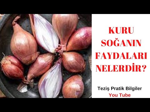 KURU SOĞAN FAYDALARI / Kuru Soğanın Zararları ve Yan Etkileri