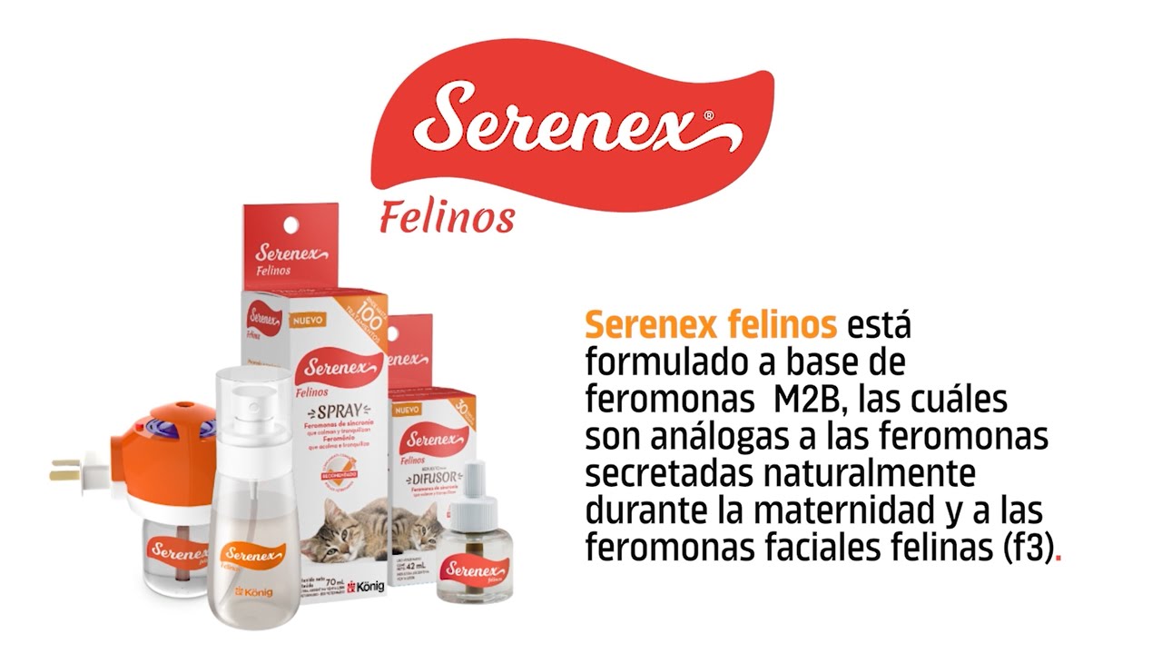 Serenex Felinos - Feromonas que calman - YouTube