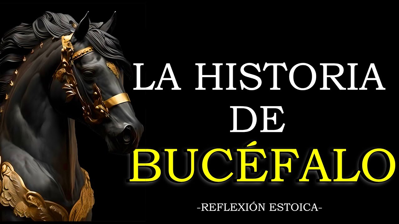 LA HISTORIA DE BUCÉFALO | EL CABALLO DE ALEJANDRO MAGNO - YouTube