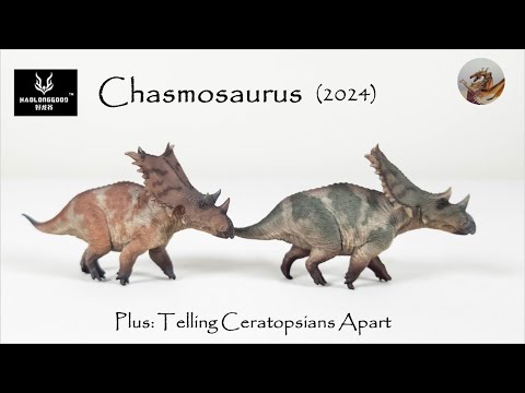 291: Haolonggood (好龙谷) Chasmosaurus Review