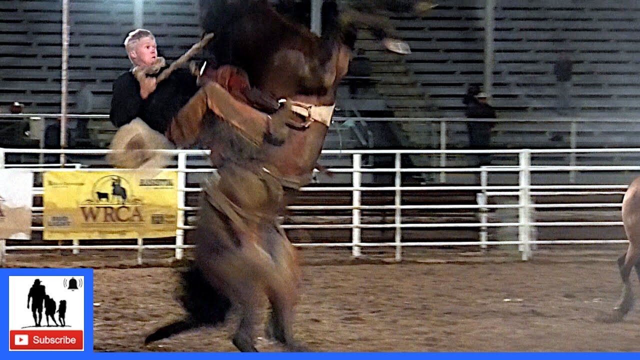 Bronc Riding Set 2 - 2021 Colorado Championship Ranch Rodeo | Friday ...