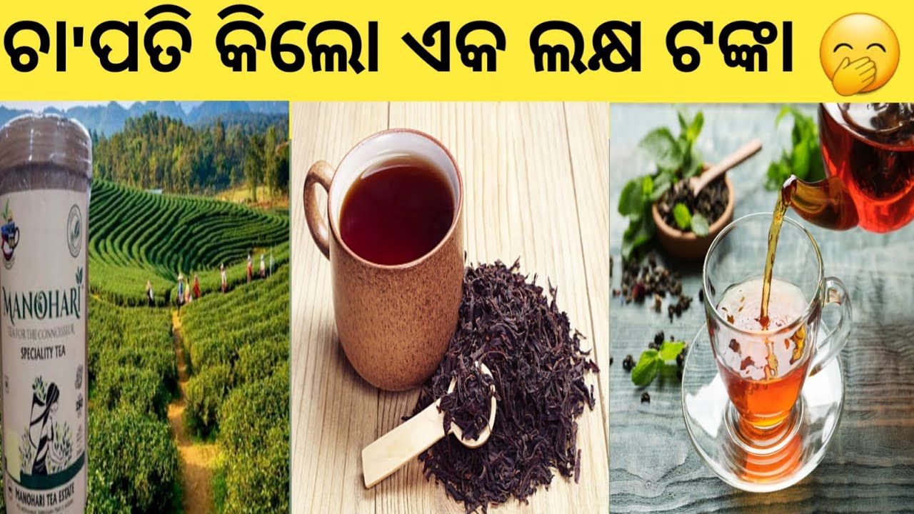 Assam tea fetches highest Price in auction || 1kg Sold 1lakh #Assamtea ...