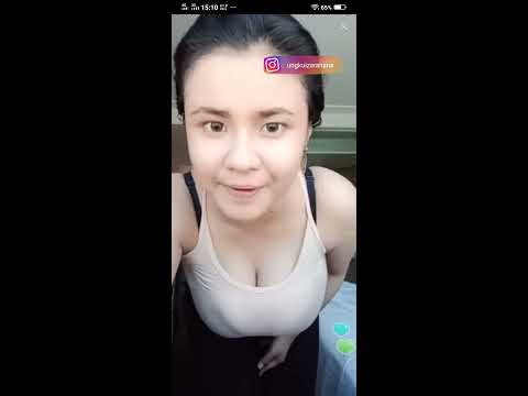 Tante Water melon Jumbo live