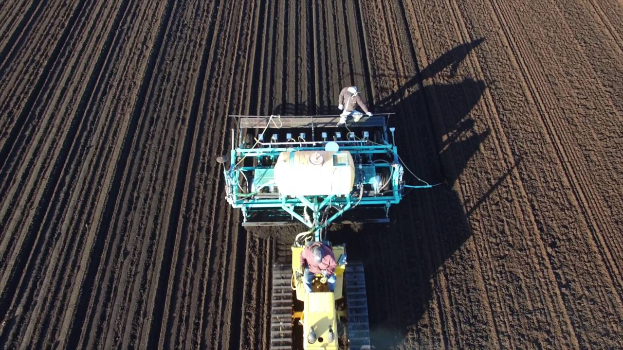 NY Onion Planting Minkus Farms - YouTube