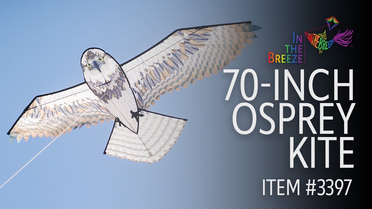 70-inch Osprey Kite | Wholesale Garden Décor | In the Breeze - YouTube