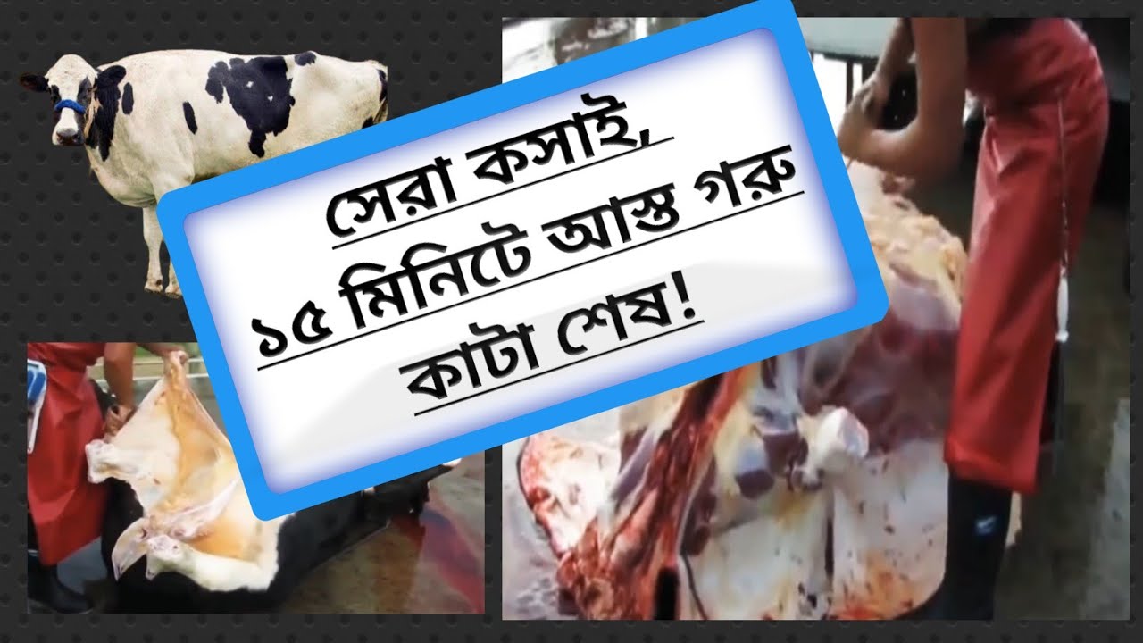 সেরা কসাই, মাত্র পনেরো মিনিটে আস্ত গরু কাটা শেষ! Smart butcher ...