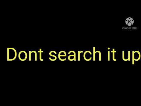 DONT SEARCH UP ART OF ZOO IN GOOGLE OR YOUTUBE