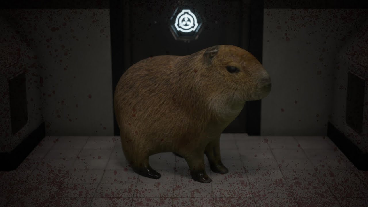 Rick Herrington's Playlist for capybaras part 1 || Capybara Project - YouTube