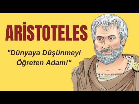 İnsanlığa Düşünmeyi Aristo Mu Öğretti? - Aristoteles ve Mantık