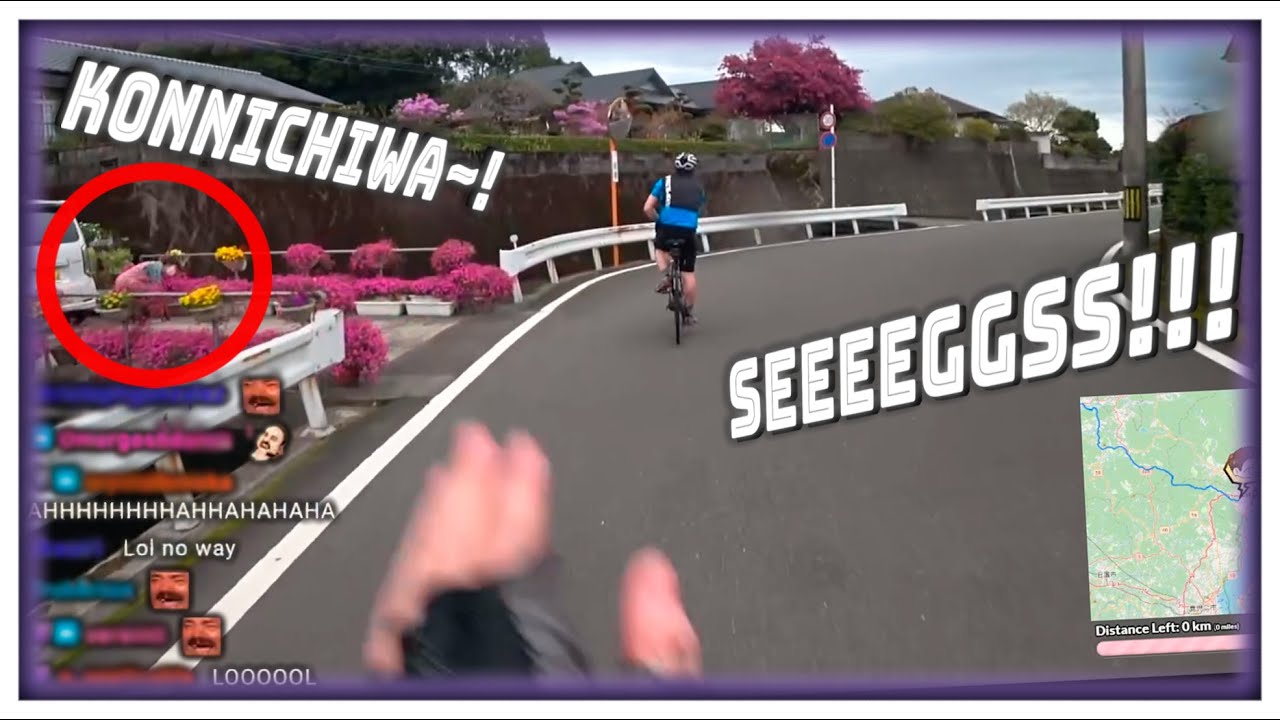 SEEGGS Sound Alert Played at The Worst Time ft. Connor, Chris - YouTube