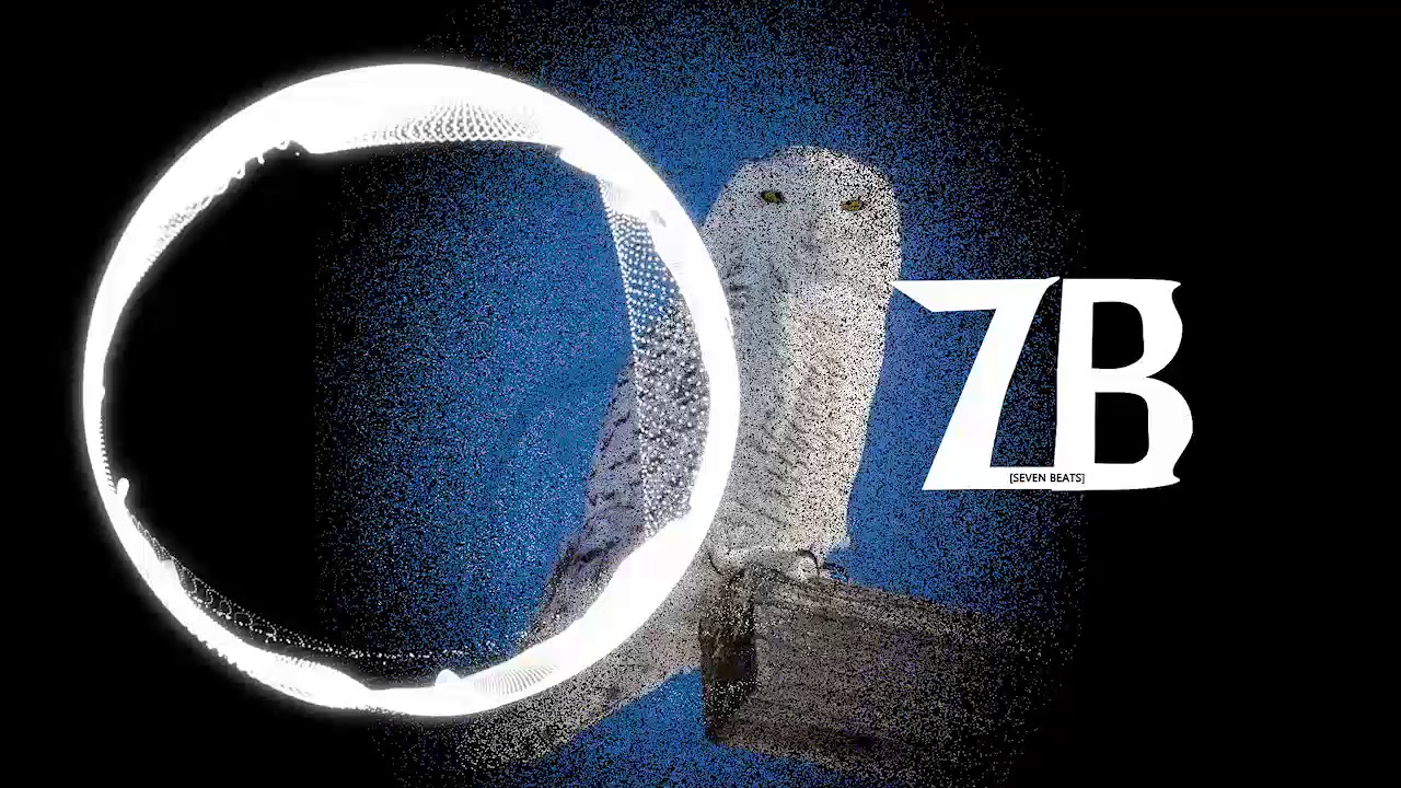 MOKO_OWL_2098_[7B_MUSIC]_Stereotype - TOKYO 2099 [NCS Release] - YouTube