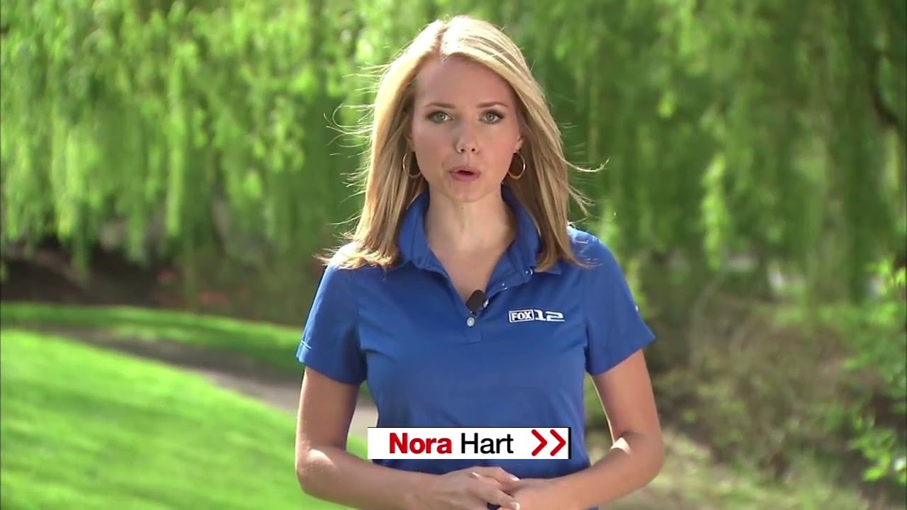 Portland 2016 heart walk promo - YouTube