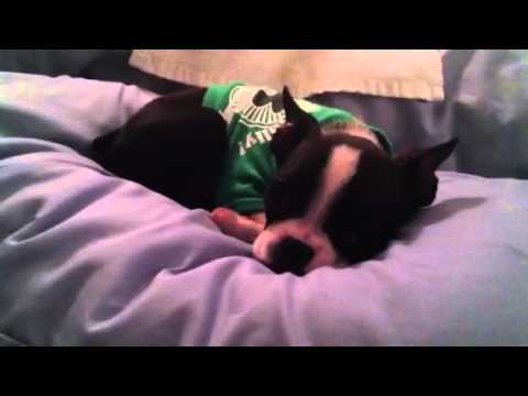 Minnie stronie wake up - YouTube