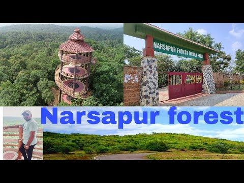 narsapur forest | Hydrabad forest | Telengana tourist place - YouTube