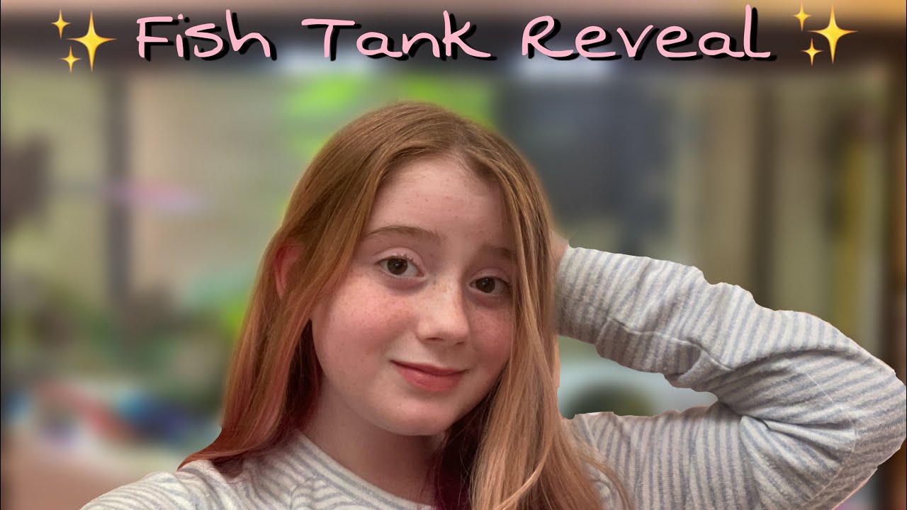 Fish + Tank Reveal - YouTube