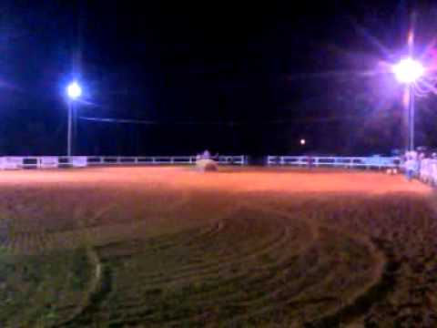 Draft Horse cross taking 5th in buddy pickup Bocep