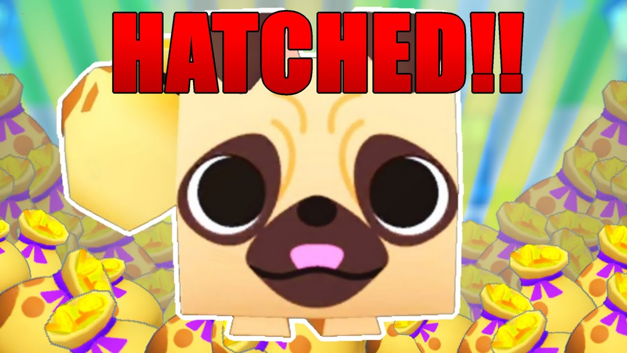 HATCHING *HUGE ROBBER PUG* IN THE NEW PET SIM UPDATE - YouTube