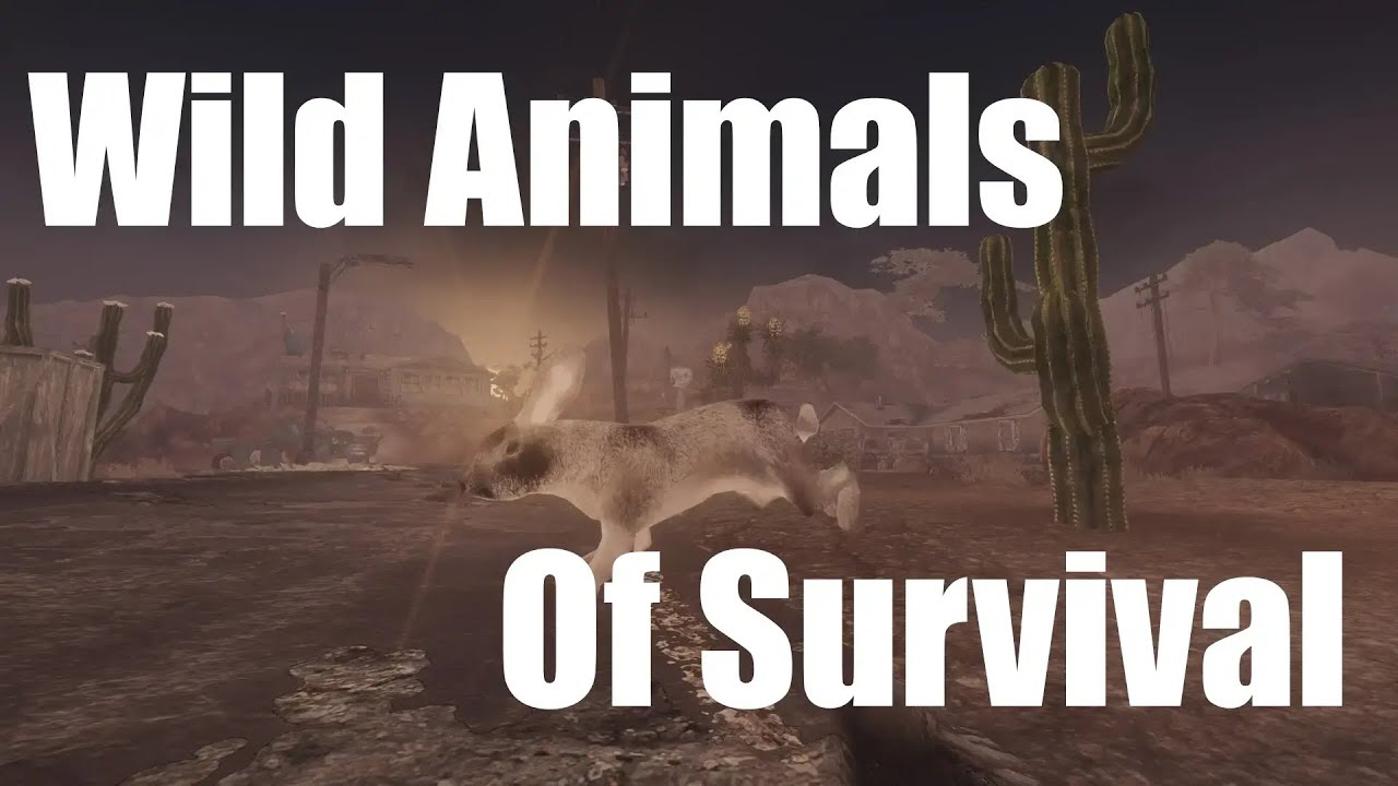 Fallout New Vegas Mod - Wild Animals Of Survival - YouTube