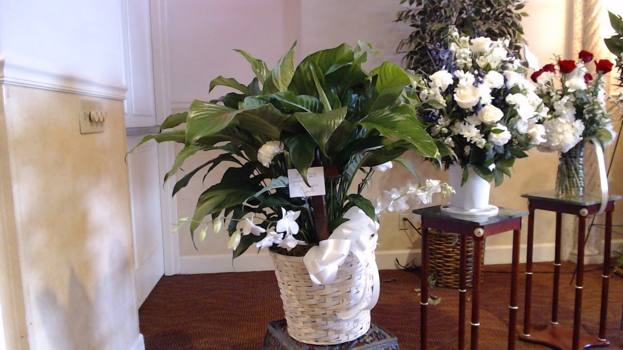 Memorial Service for Joseph P Bisignano 1/26/2025 - YouTube