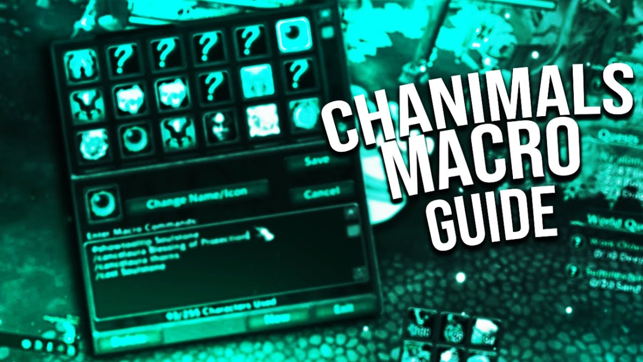 Chanimal: Warlock Macros / Keybindings Guide for Arena - YouTube