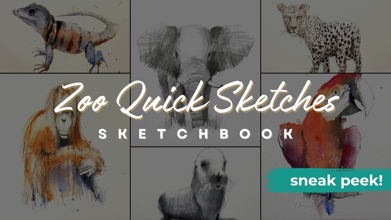 Quick Sketches of Animals in the style of Urban Sketching - YouTube