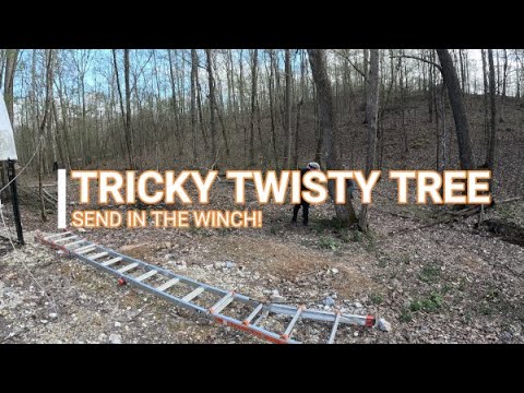 Tricky Twisty Tree - YouTube