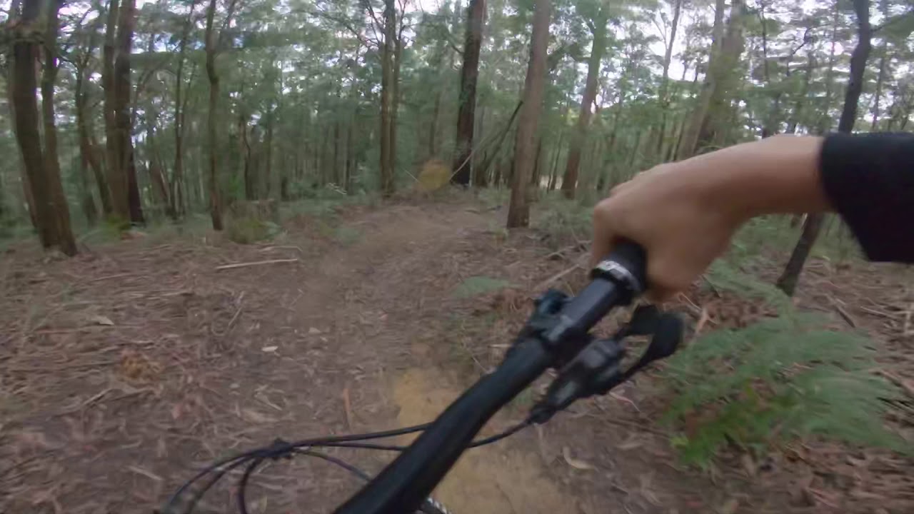 Awaba DH Track IS MENTAL !! - YouTube