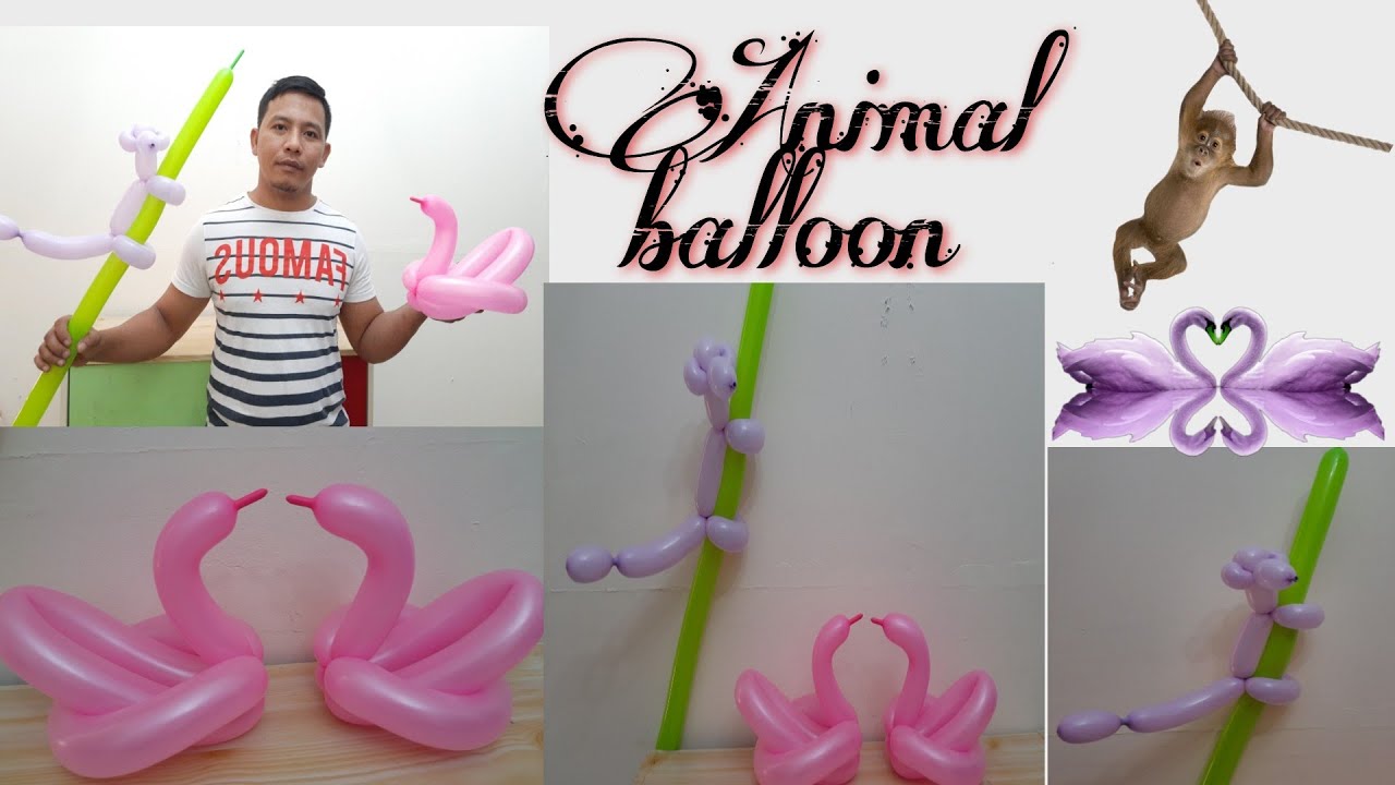 animal balloon// monkey balloon & swan balloon//art balloons - YouTube