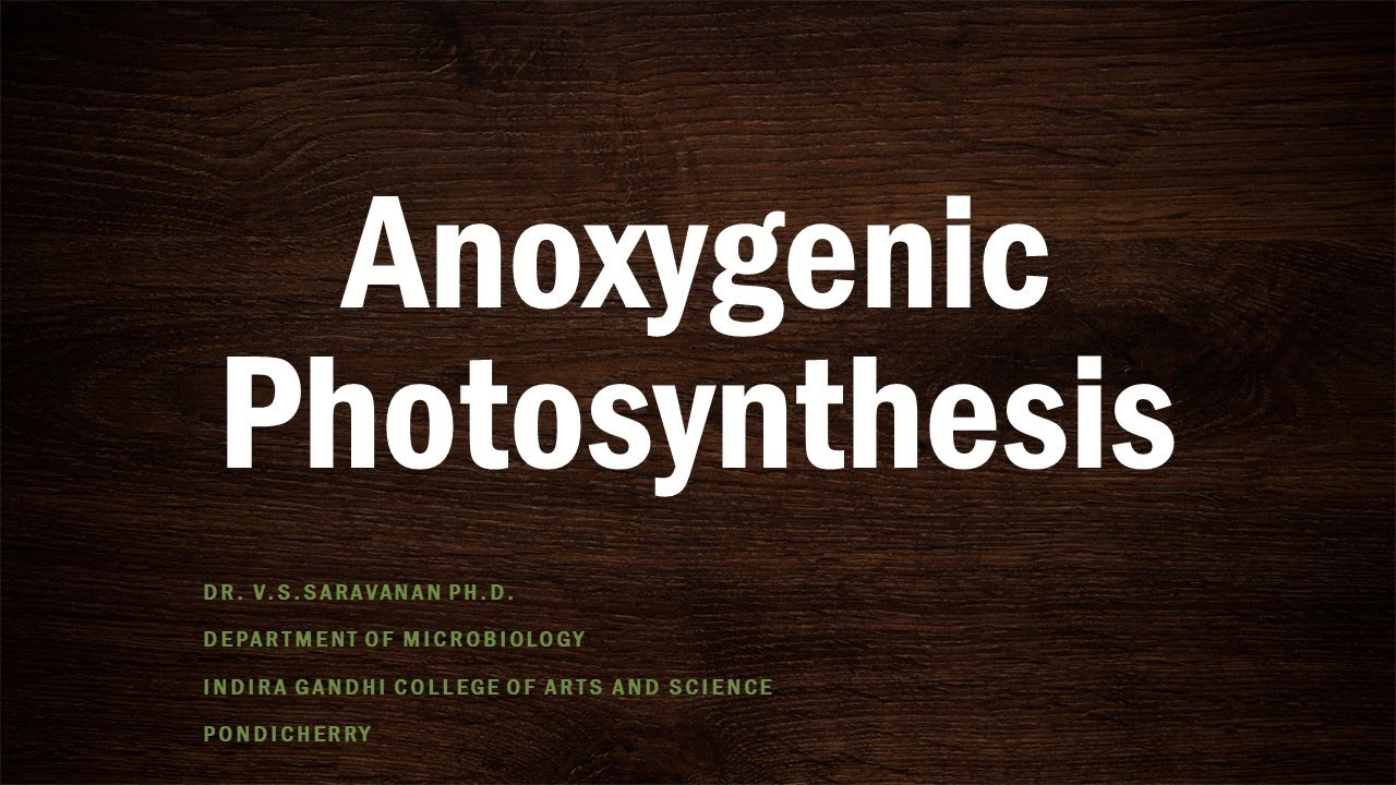 BPM Unit 4 Lect 3A (Anoxygenic photosynthesis) - YouTube