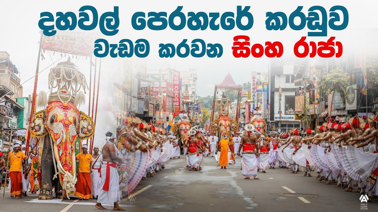 දහවල් පෙරහැරේ සදාතුක කරඩුව වැඩම කරවන " සිංහ රාජා " 🙏 🐘 sinha raja ...
