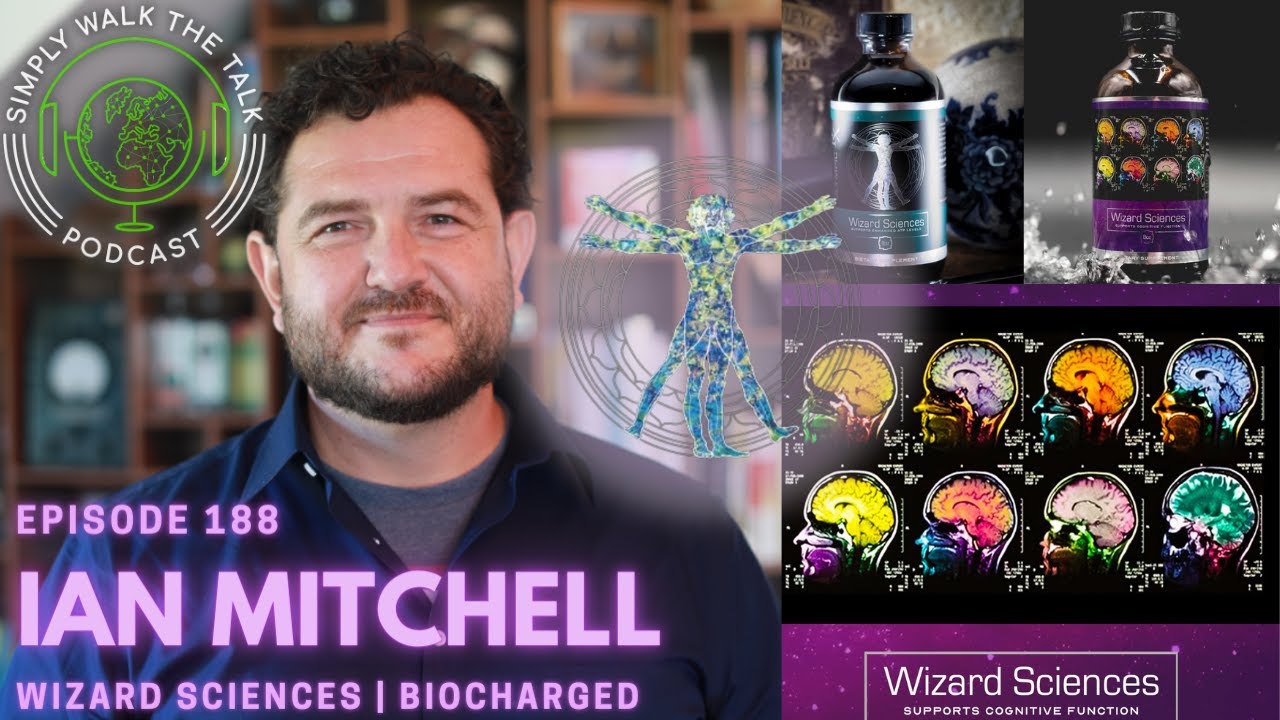 FIX THE PEOPLE - BREAK THE SYSTEM | Ian Mitchell of Wizard Sciences ...