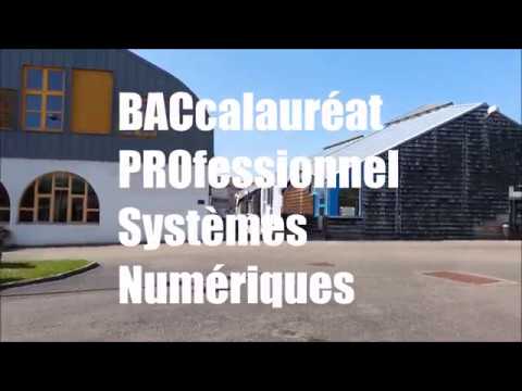Le Bac Pro Systèmes Numériques - YouTube