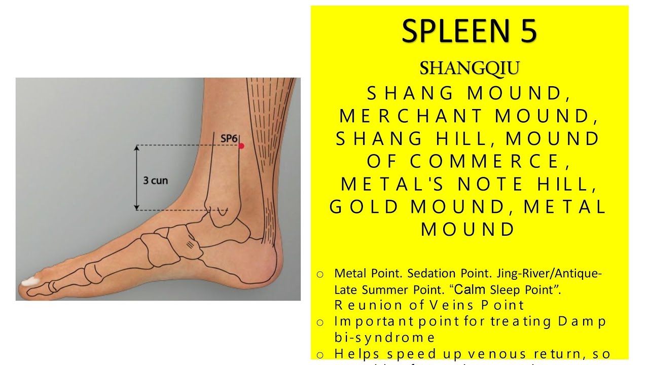 SPLEEN 5 SHANGQIU (SHANG MOUND, MERCHANT MOUND, SHANG HILL, MOUND OF ...
