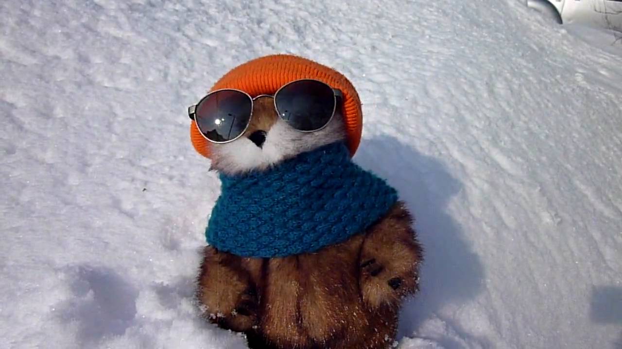 'landfall larry' on groundhog day - 2010 - YouTube