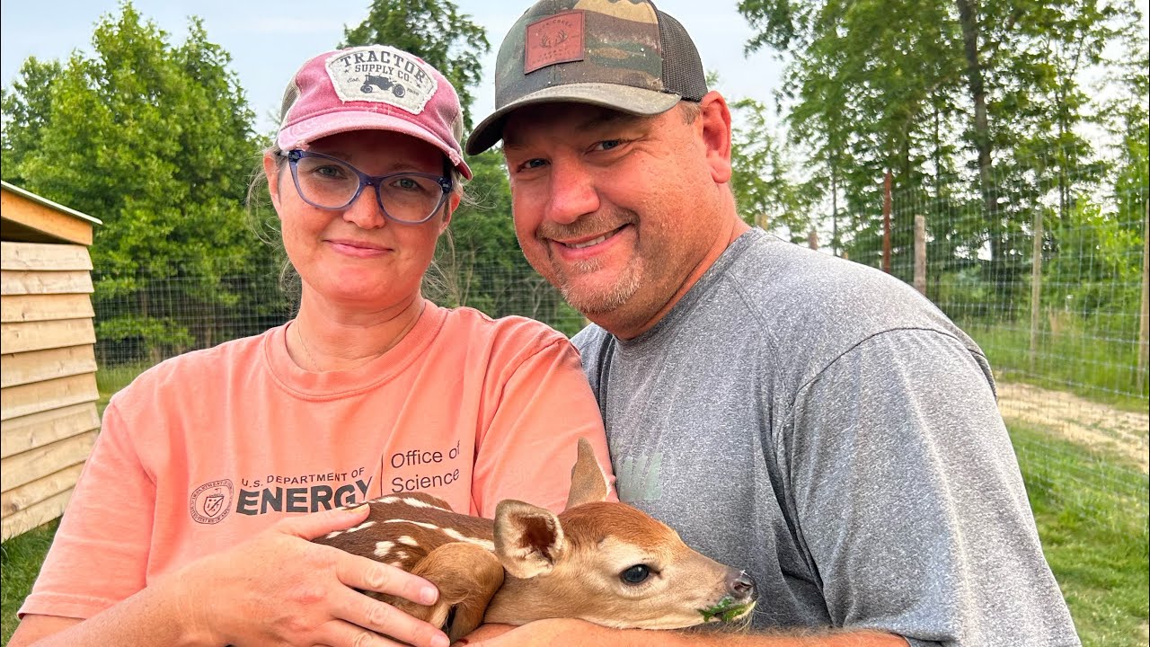 Deer Farm Handling Facility - YouTube