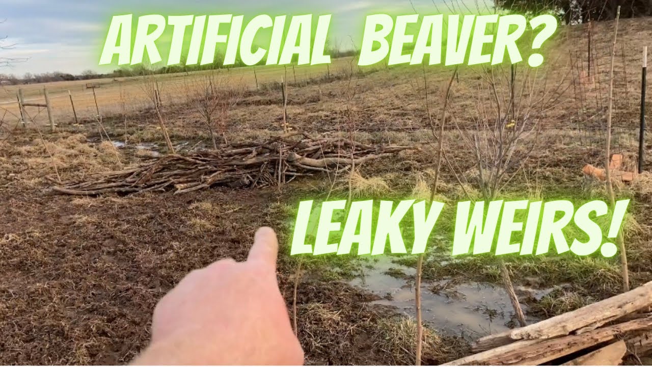 Leaky weirs to build ground water and fight drought! - YouTube