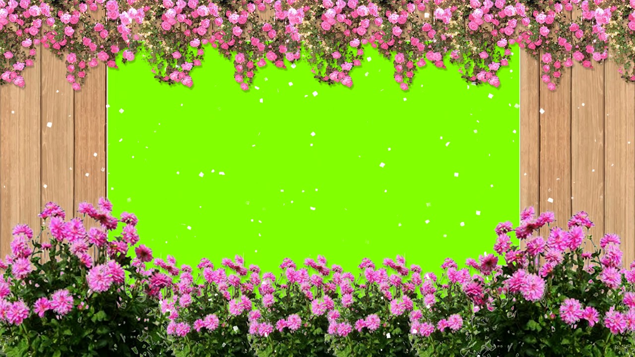 Green screen frame flowers, flourish, border flowers, slideshow wedding ...